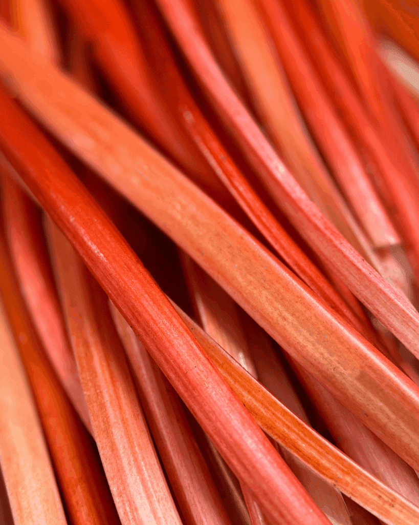 Celebrating Norfolk rhubarb with KL Magazine - Place UK