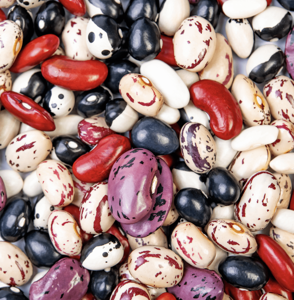 Pulse & Grain UK - Place UK